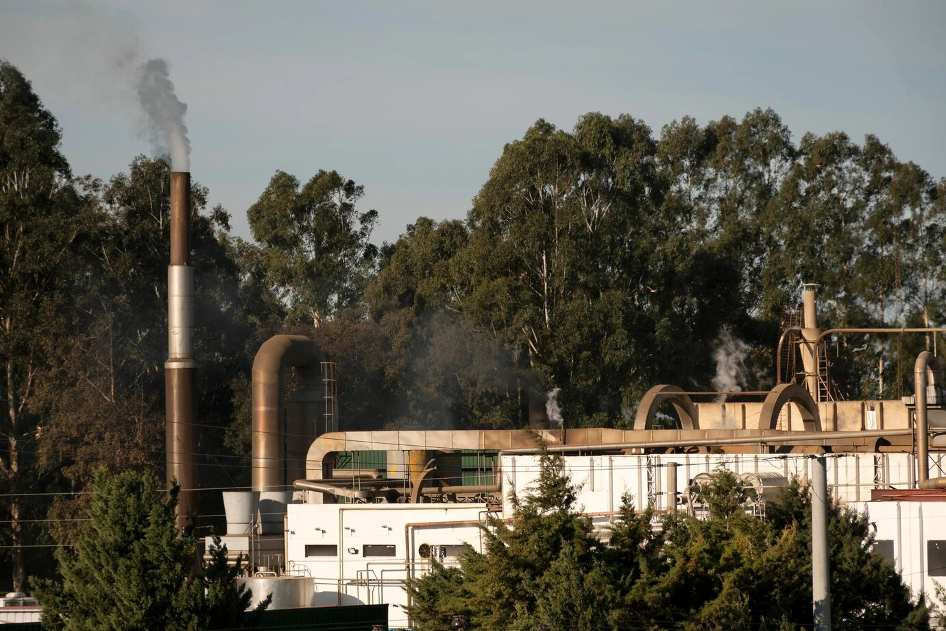 CBAM, Carbon Trap, and the Impact of Irrational Gas Sector Policies – APTMA